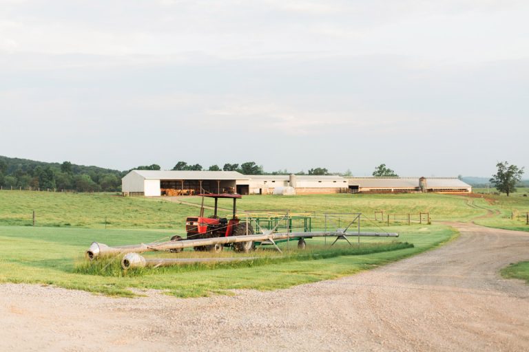 Specials - Sunrise Farms