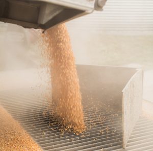 Layer Feed - Non-GMO - Hormone Free - Sunrise Farms