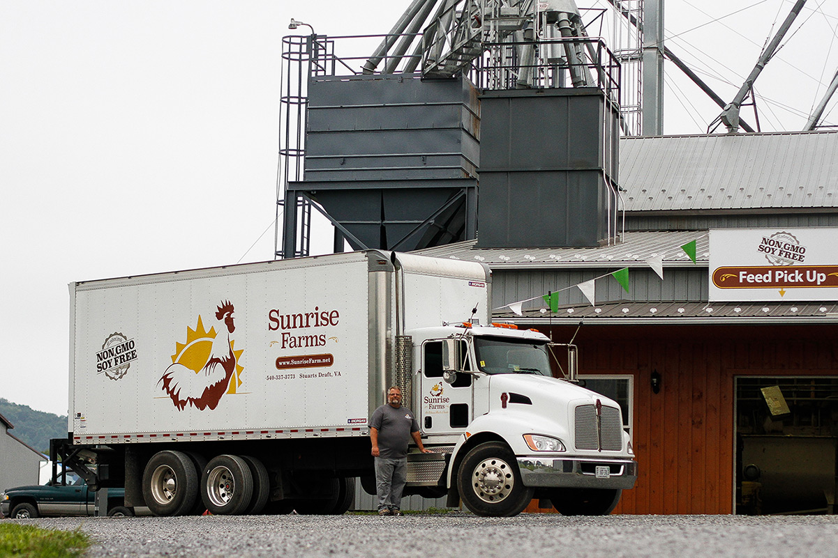 Sheep Feed - All Natural - Non-GMO - Sunrise Farms