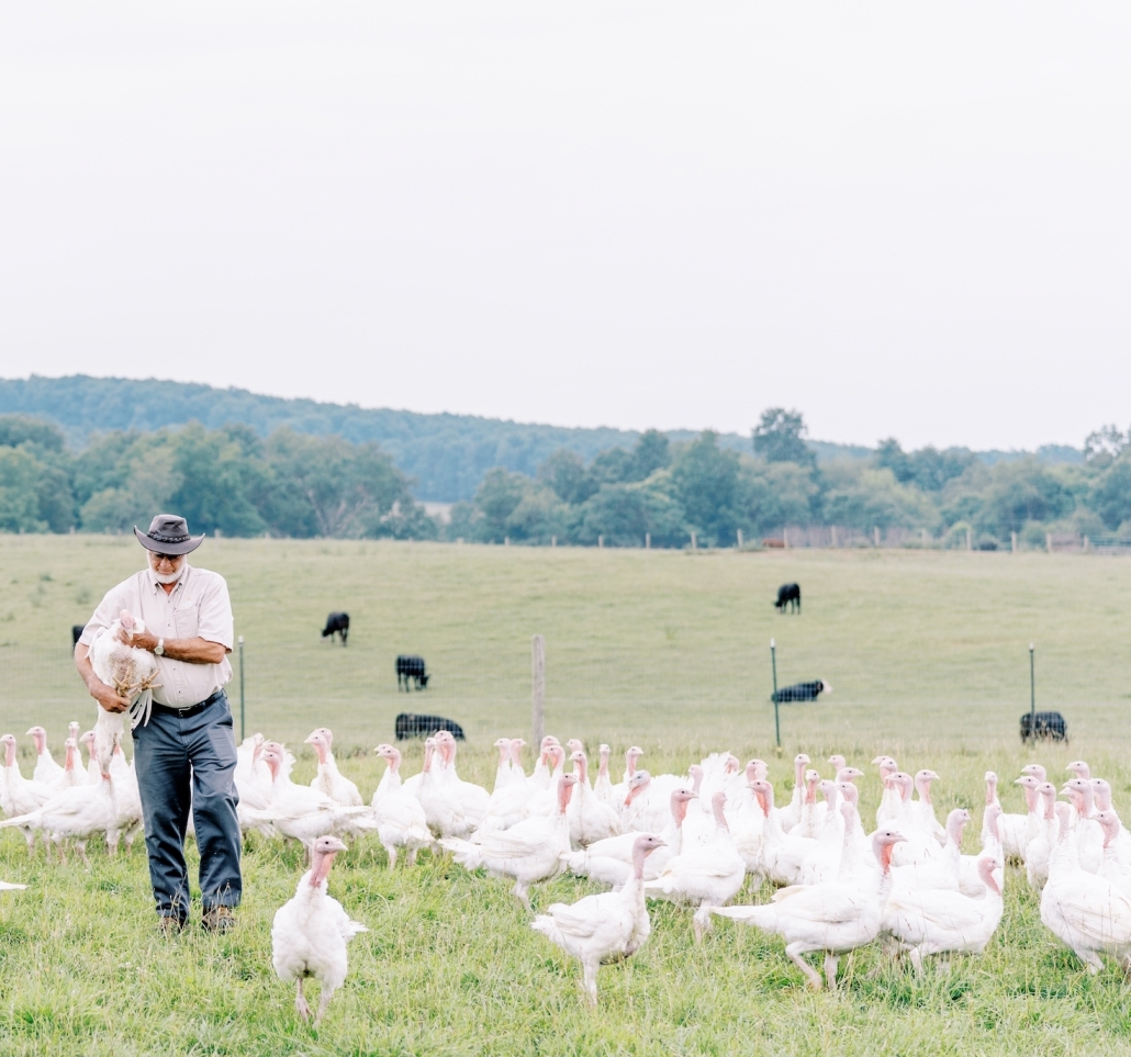 Farm Tours - Sunrise Farms