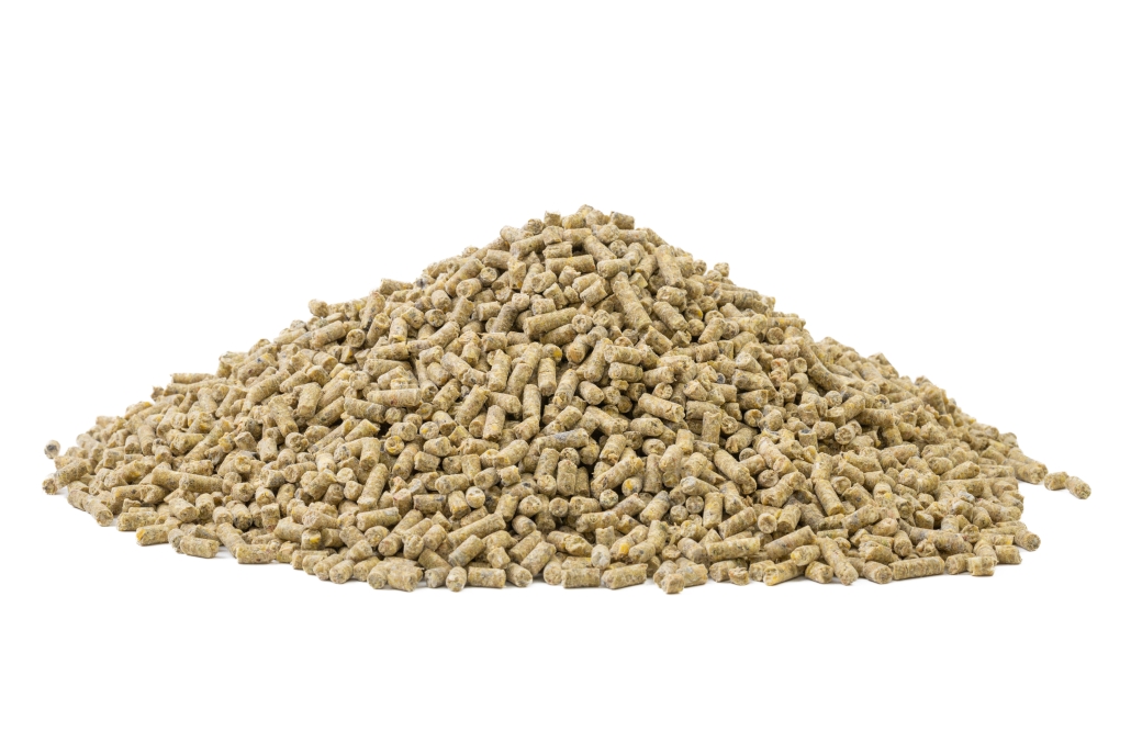 Animal Feed | Pellet vs. Mash | What's the Difference?