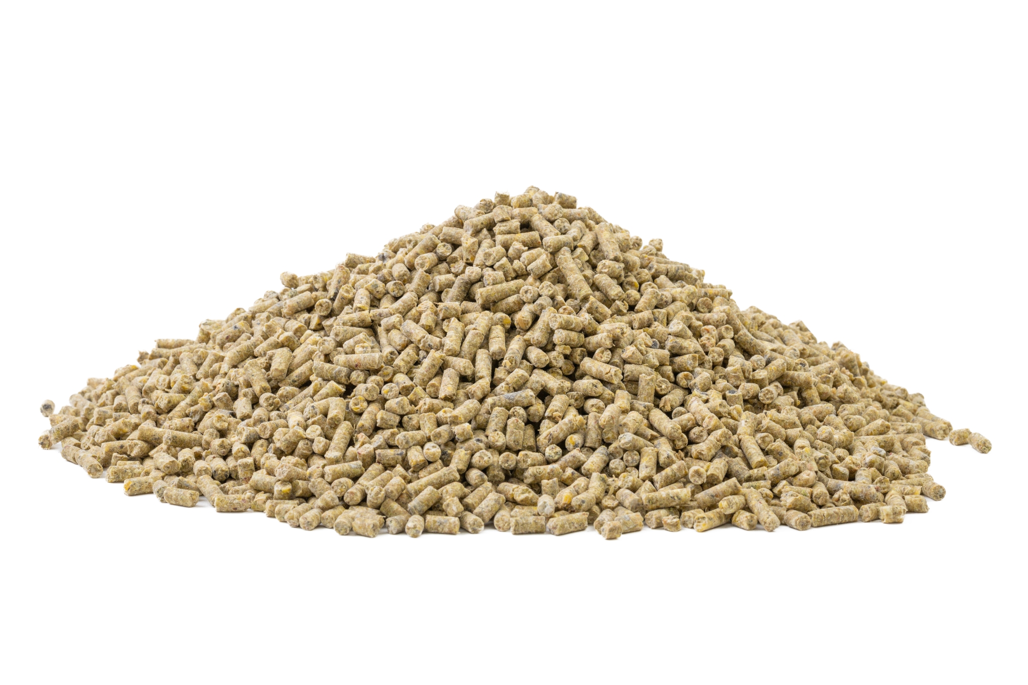 How The Right Amount Of Protein In Layer Feed Helps Your Flock