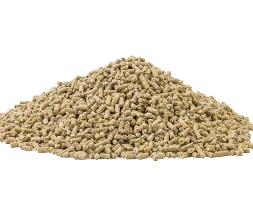 Animal Feed | Pellet vs. Mash | What's the Difference?