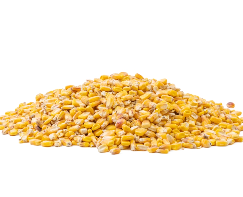 Animal Feed | Pellet vs. Mash | What's the Difference?