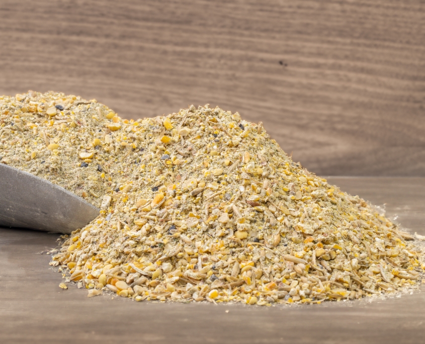 Layer Feed - Non-GMO - Hormone Free - Sunrise Farms